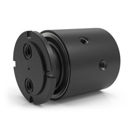 GP-220, 2-Passage Rotary Union, 1/4"-18 NPT Connections, Carbon Steel